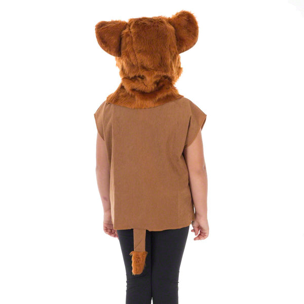 Lion Cub costume for kids | Charlie Crow
